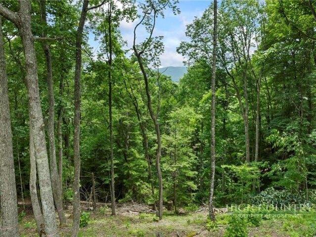Elk Park NC 28622 104898734