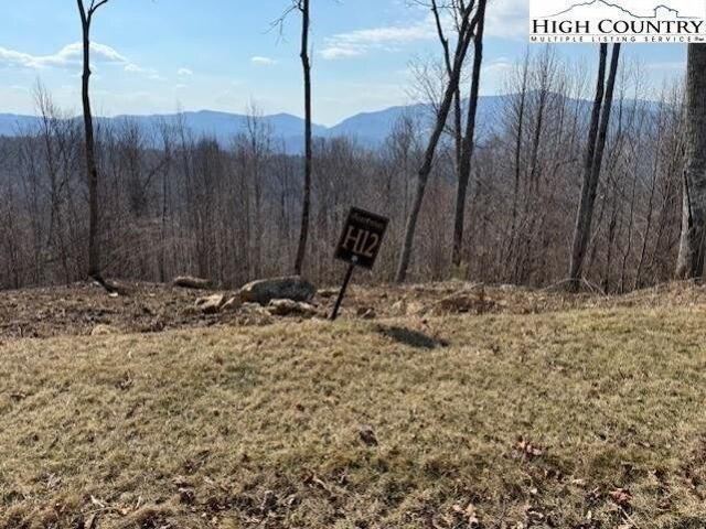 Elk Park NC 28622 104898930