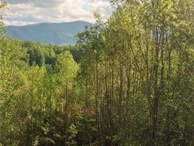 Elk Park NC 28622 104909428