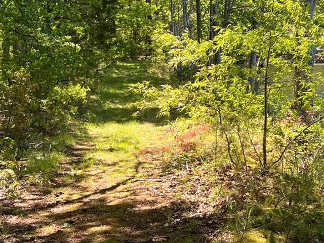 Elk Run