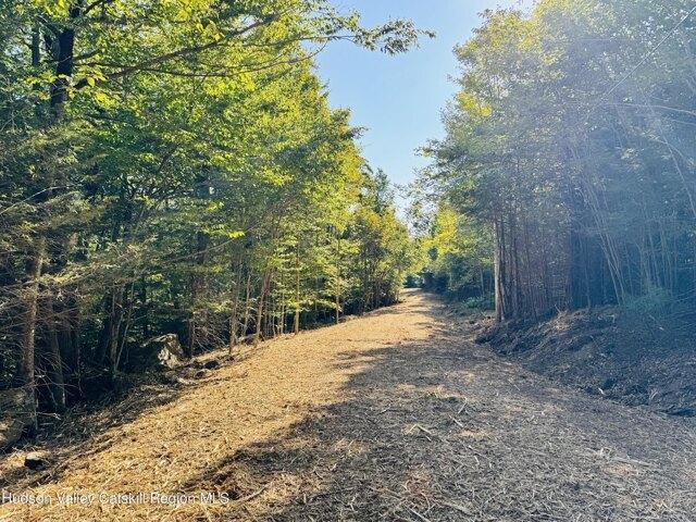 Elka Park NY 12427 100318729