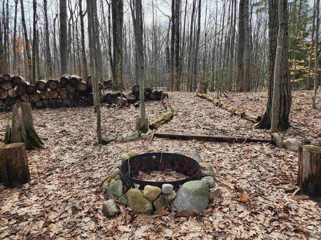 Elkhorn Lot 793, Farwell, MI 48622