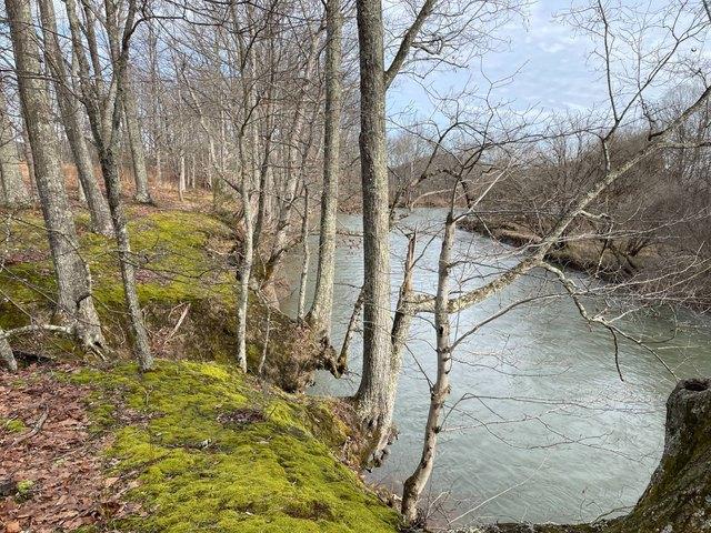 Elkins, WV 26241