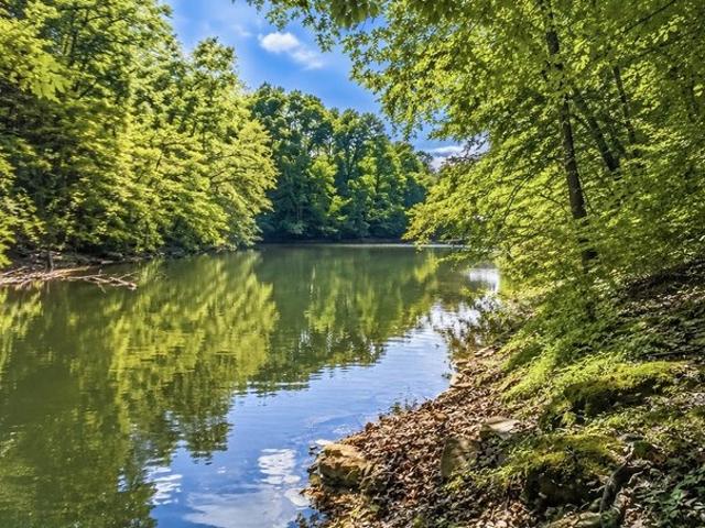 Elklore Ave, Estill Springs, TN 37330