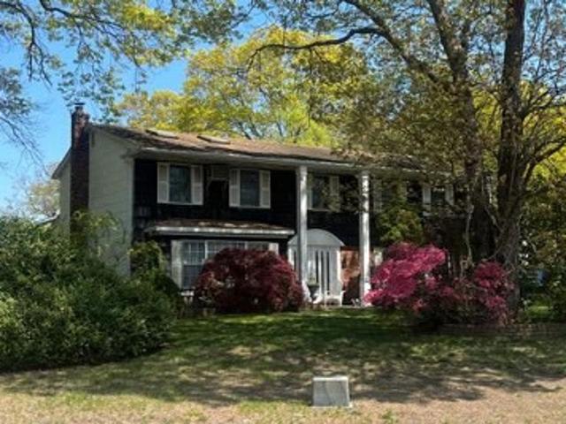 Ellen Ct