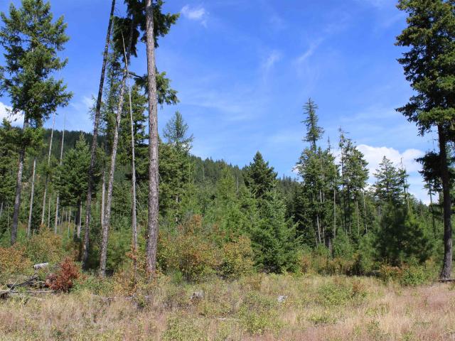 Ellery Ranch Rd, Elk, WA 99009 | MLS #202614