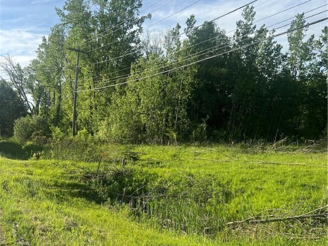 Ellicott Road