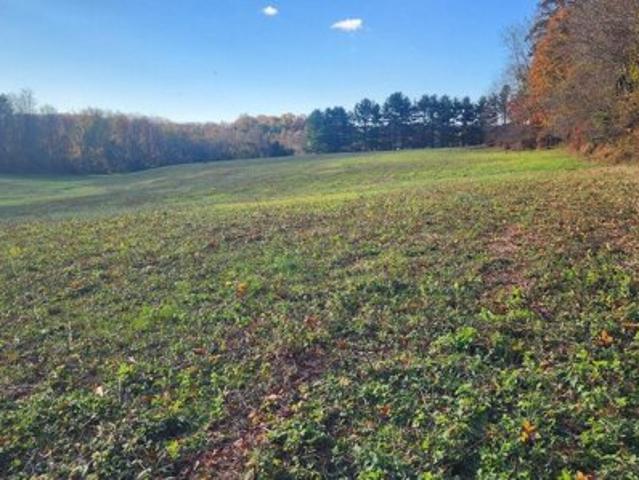 Ellies Way, West Friendship, Plot For Sale