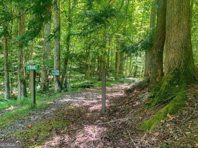 Ellijay GA 30540 LS94959336