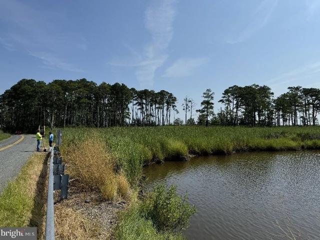 Elliott Island Rd, Vienna, MD 21869