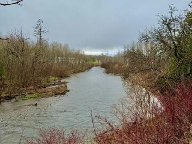 Elliott Rd, Westfield, Plot For Sale