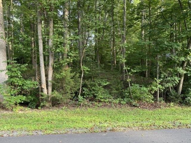 Ellis Dr Lot 637, Louisa, VA 23093