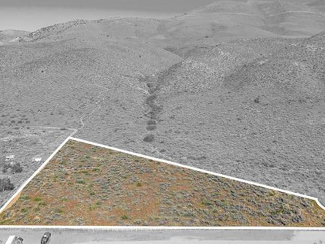 Ellireese Ct, Washoe Valley, NV 89704