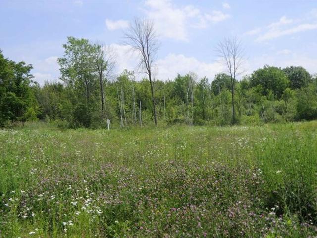 Ellsworth Dr, Swanton, Plot For Sale