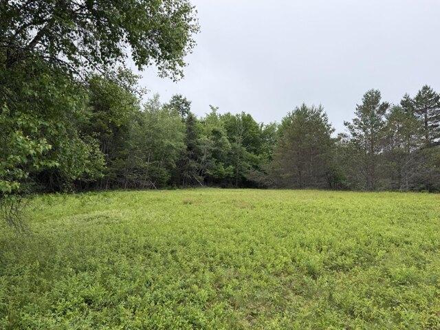 Ellsworth Rd, Blue Hill, Plot For Sale