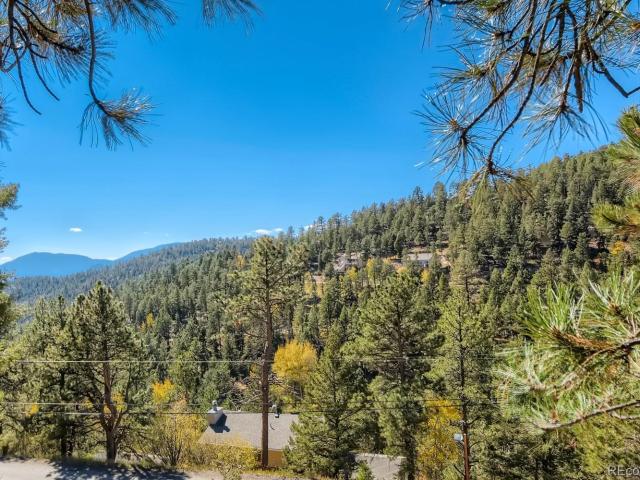 Elsie Rd, Conifer, CO 80433 | MLS #3374