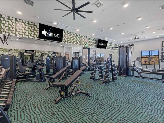 Elysian Homes at Cadence 4 Bedroom Apartment for Rent at 770 Grand Cadence Dr, Henderson, NV 89011