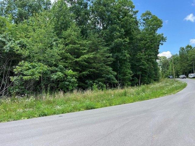 Elzies Way Lot 201, Grimsley, TN 38565