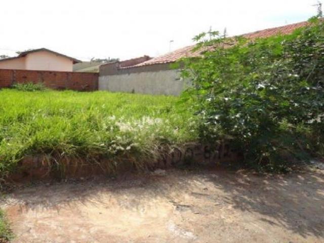 em Ouro Branco Ribeirão Preto