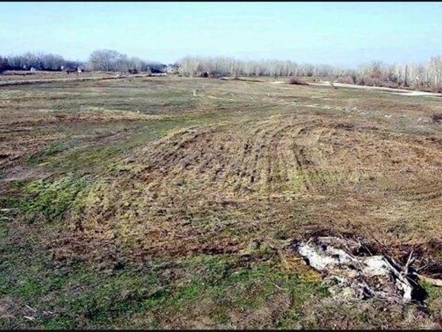 Emmett ID 83617 94737699