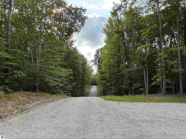 Emmett’s Trail