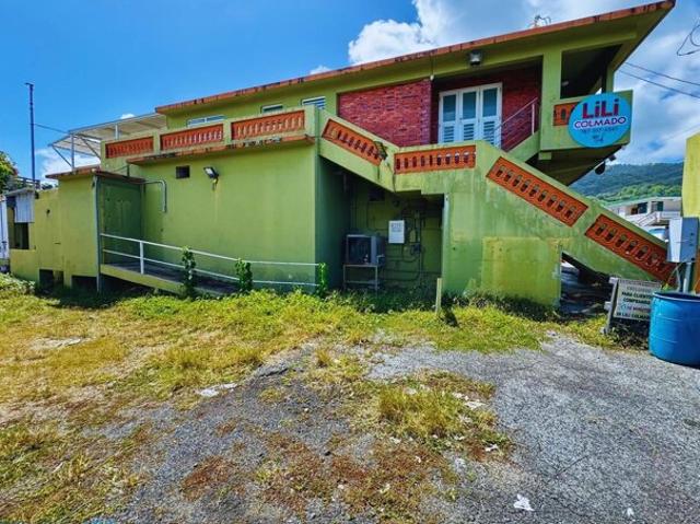 / Emajagua Comm Mariani, Maunabo, Home For Sale