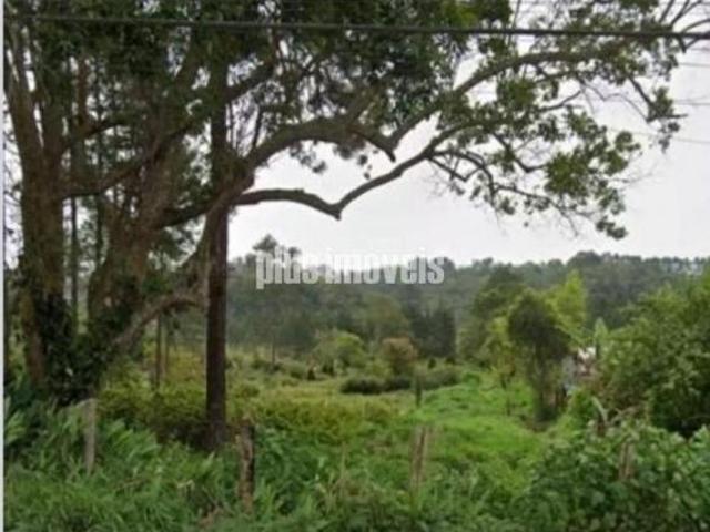 EMBU GUAÇU CIPÓ DO MEIO TERRENO COM 54.330.12M²