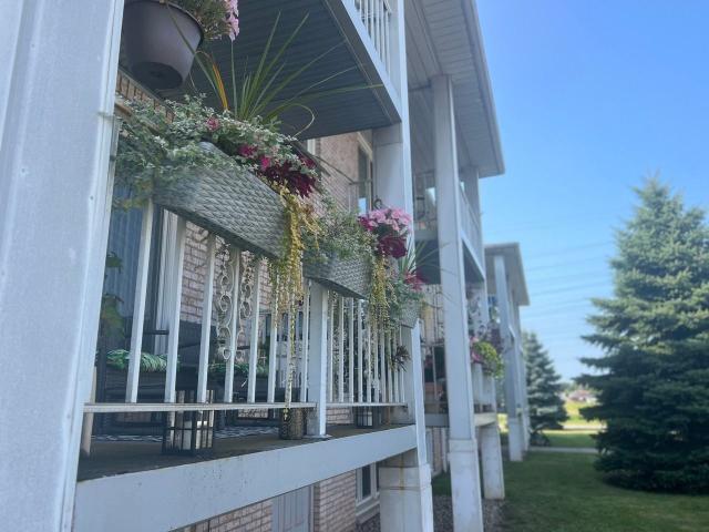 Embassy Square Apartments 1 Bedroom Apartment for Rent at 95 Embassy Sq, Tonawanda, NY 14150