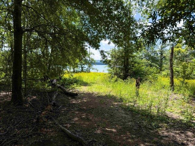 Ember Rd, Shirley, AR 72153