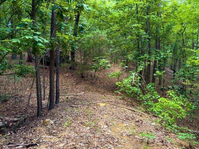 Ember Rd, Shirley, AR 72153