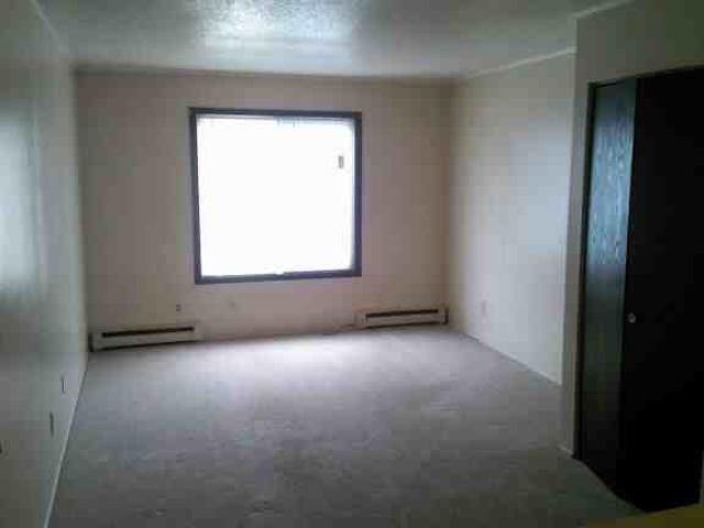 Emerald Forest 1 Bedroom Apartment for Rent at 2865 Wilson St, Marlette, MI 48453