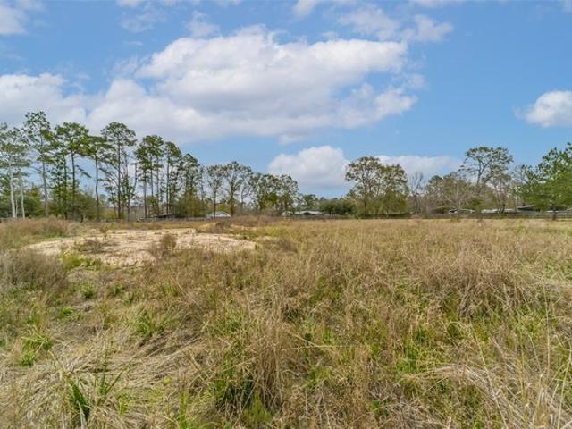 Emerald Forest Dr, New Caney, TX 77357