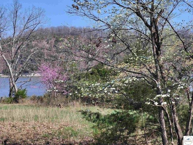 Emerald Hills Lot Phase 4 Dr Lot 4, Edwards, MO 65326