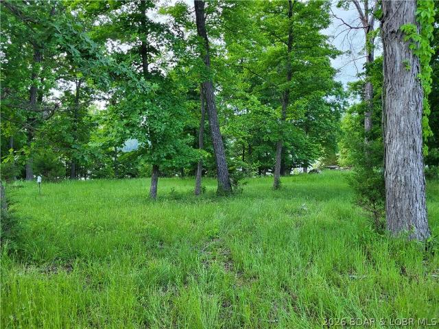 Emerald Hills Drive Phase 5 Lot 2