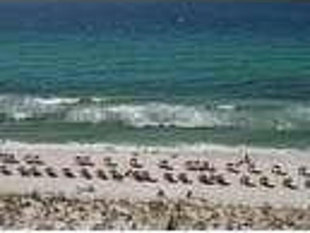 Emerald Isle Sleeps 6 High Rise Gulf Front Pensacola Beach