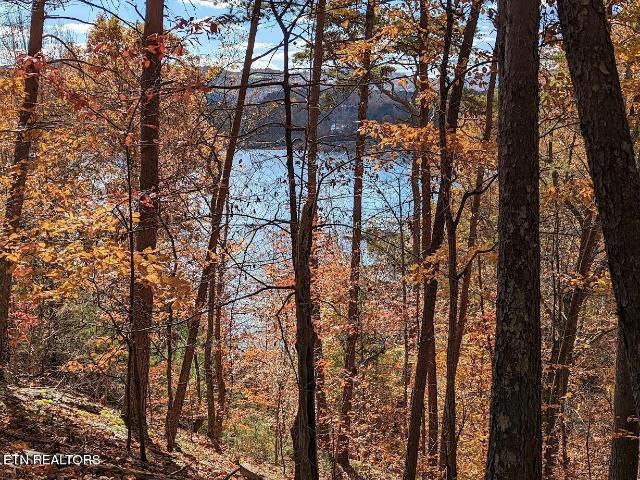 Emerald Pt, Sharps Chapel, TN 37866