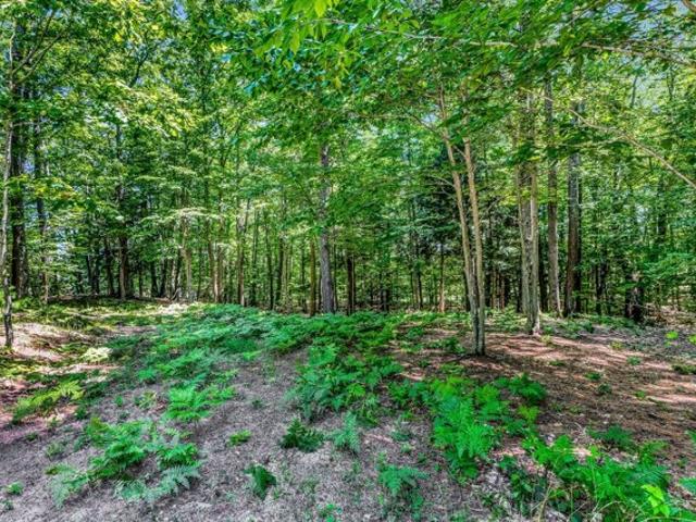 Emerald Rdg Lot,onekama, Plot For Sale