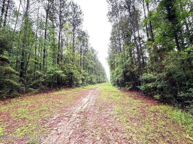 Emerald State Line Rd, Magnolia, MS 39652
