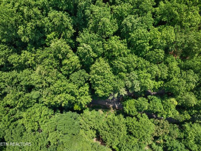 Emerald Springs Loop, Sevierville, TN 37862