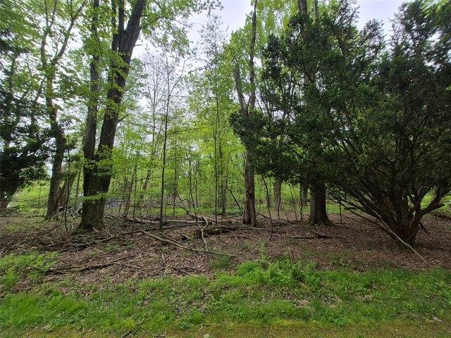 Emerson Ave, Jamestown, PA 16134
