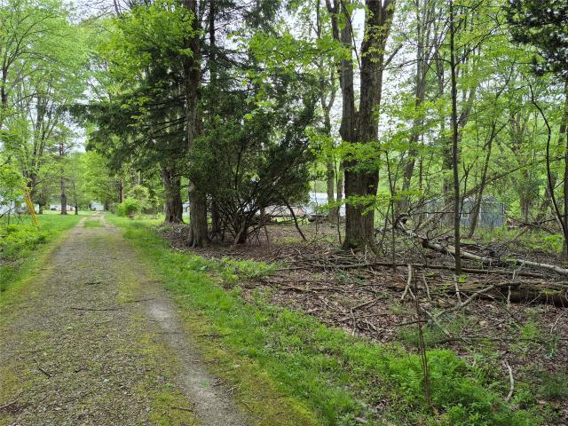 Emerson avenue