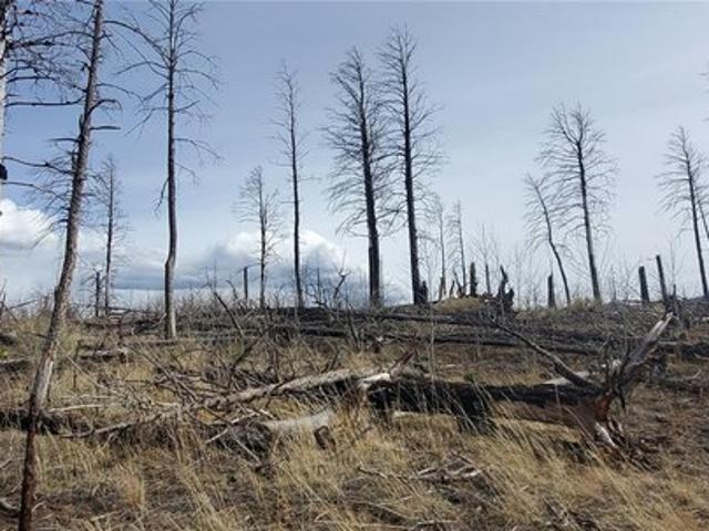 Emery Loop Lot 1223, Fort Garland, CO 81133