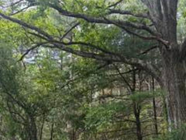 Emery Road