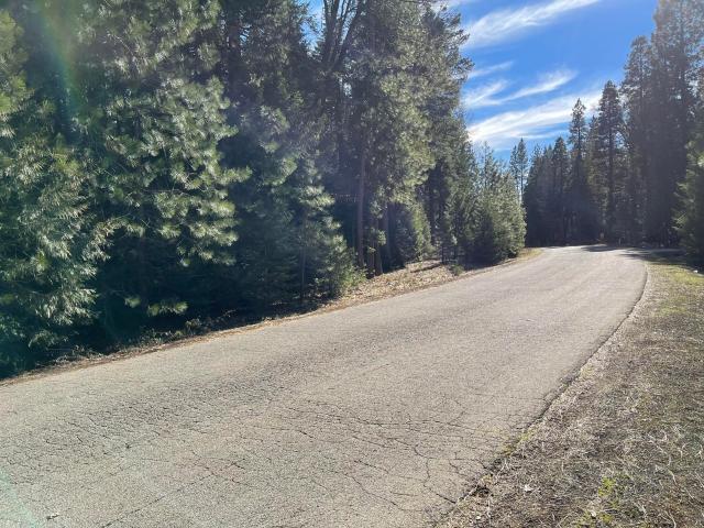 Emigrant Trail