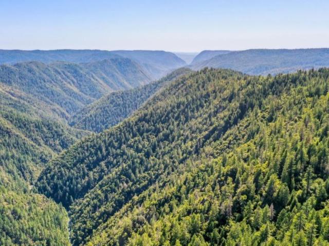 Emigrant Gap CA LS101882781
