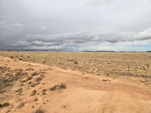 Emilia Road