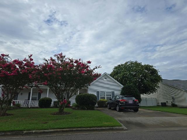 Emily Drive