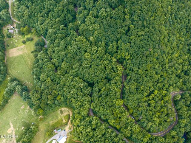 Emilyville Way, Cosby, TN 37722
