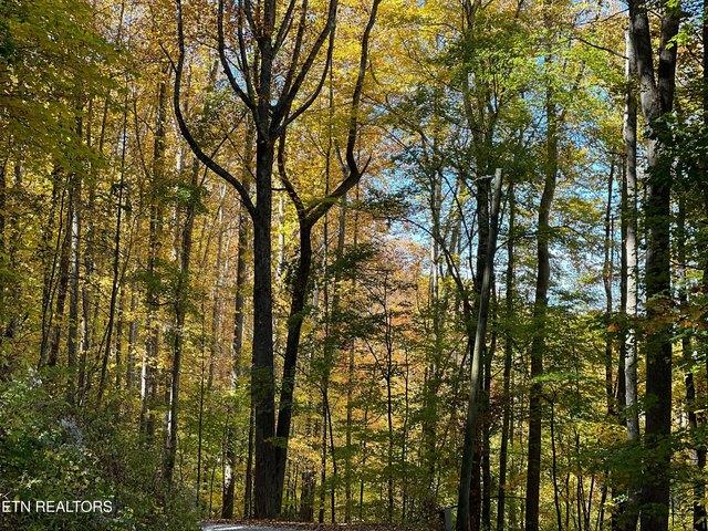 Emilyville Way, Cosby, TN 37722