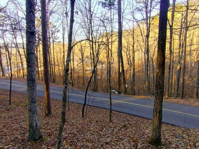Empinado Way, Hot Springs Village, AR 71909